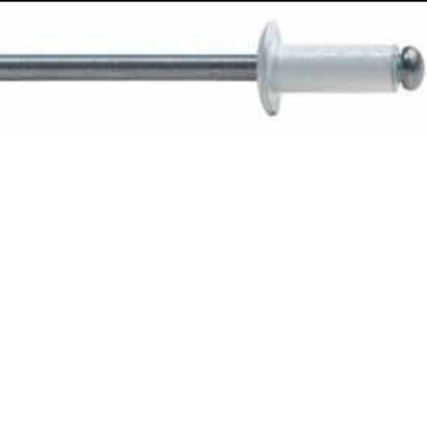 Aluminium White Standard Dome Head Rivet - Orchard Fasteners
